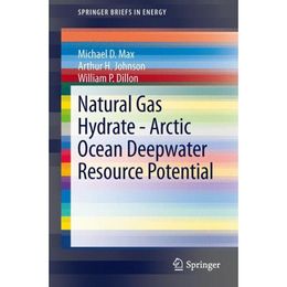 Springer International Publishing Natural Gas Hydrate - Arctic Ocean Deepwater Resource Potential - Michael D. Max, Arthur H. Johnson, William P. Dillon, Kartoniert (TB)