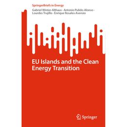 Springer EU Islands and the Clean Energy Transition - Gabriel Winter-Althaus, Antonio Pulido-Alonso, Lourdes Trujillo, Enrique Rosales-Asensio, Kartoniert (TB)