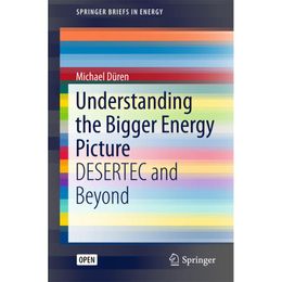 Understanding the Bigger Energy Picture - Michael Düren, Kartoniert (TB)