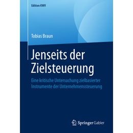 Jenseits der Zielsteuerung - Tobias Braun, Kartoniert (TB)