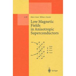 Low Magnetic Fields in Anisotropic Superconductors - Allan J. Greer, William J. Kossler, Kartoniert (TB)