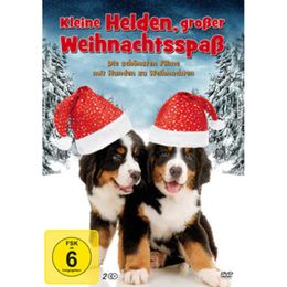 Kleine Helden, großer Weihnachtsspaß (DVD)