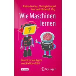 Springer Wie Maschinen lernen, Kartoniert (TB)
