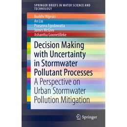 Springer Decision Making with Uncertainty in Stormwater Pollutant Processes - Buddhi Wijesiri, An Liu, Prasanna Egodawatta, James Mcgree, Ashantha Goonetilleke, Kartoniert (TB)