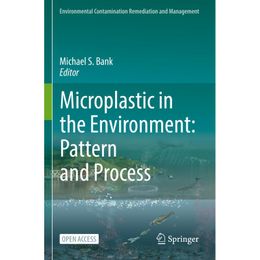 Springer Microplastic in the Environment: Pattern and Process, Kartoniert (TB)