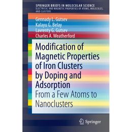 Springer International Publishing Modification of Magnetic Properties of Iron Clusters by Doping and Adsorption - Gennady L. Gutsev, Charles A. Weatherford, Lavrenty G. Gutsev, Kalayu G. Belay, Kartoniert (TB)