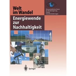 Springer Berlin Heidelberg Welt im Wandel: Energiewende zur Nachhaltigkeit - Kenneth A. Loparo, Kartoniert (TB)