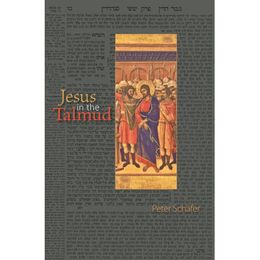 Princeton University Press Jesus in the Talmud - Peter Schäfer, Kartoniert (TB)