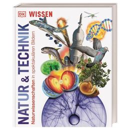 Dorling Kindersley DK Wissen. Natur & Technik - Abigail Beall, Jack Challoner, Derek Harvey, Gebunden