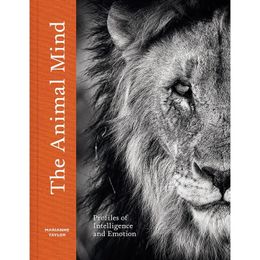 Abrams & Chronicle Books The Animal Mind - Marianne Taylor, Gebunden