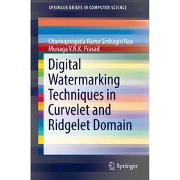 Springer Digital Watermarking Techniques in Curvelet and Ridgelet Domain - Channapragada Rama Seshagiri Rao, Munaga V.N.K. Prasad, Kartoniert (TB)
