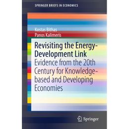 Springer Revisiting the Energy-Development Link - Kostas Bithas, Panos Kalimeris, Kartoniert (TB)