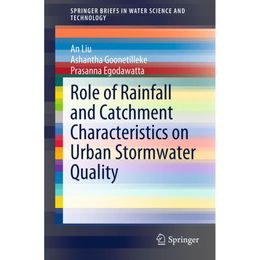 Springer Nature Role of Rainfall and Catchment Characteristics on Urban Stormwater Quality - An Liu, Ashantha Goonetilleke, Prasanna Egodawatta, Kartoniert (TB)