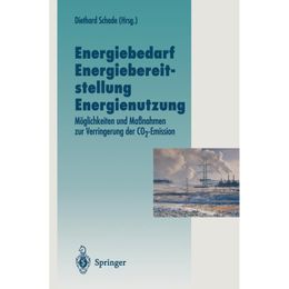 Springer Energiebedarf Energiebereitstellung Energienutzung, Kartoniert (TB)