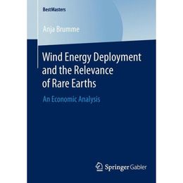 Wind Energy Deployment and the Relevance of Rare Earths - Anja Brumme, Kartoniert (TB)