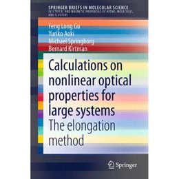Springer Calculations on nonlinear optical properties for large systems, Kartoniert (TB)