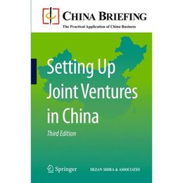 Springer Berlin Heidelberg Setting Up Joint Ventures in China, Kartoniert (TB)