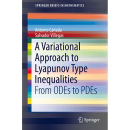Springer International Publishing A Variational Approach to Lyapunov Type Inequalities - Antonio Cañada, Salvador Villegas, Kartoniert (TB)