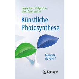 Springer Künstliche Photosynthese - Holger Dau, Philipp Kurz, Marc-Denis Weitze, Kartoniert (TB)