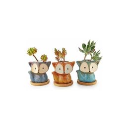 10 cm kleine Kaktus-Blumentöpfe mit Bambus-Tablett, 3er-Set, niedlicher Fuchskaktus, runder Sukkulententopf, Keramik-Pflanzgefäß, Pflanzgefäß,