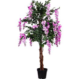 Wisteria, 120cm, Pinke Blüten - PLANTASIA