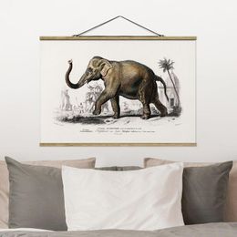 MICASIA Stoffbild mit Posterleisten - Vintage Lehrtafel Elefant - Querformat 2:3 Größe HxB: 23.5cm x 35cm Material: Eiche
