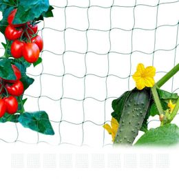 Relaxdays 10 x Ranknetz für Gewächshaus, 180 x 360 cm, Rankhilfe Gurken, Tomaten, Maschenweite 10 cm, Gewächshausnetz, grün