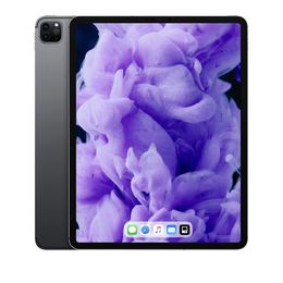 Apple iPad Pro 4 (12,9") 512 GB Wi-Fi - Space Grau (Zustand: Neuwertig)