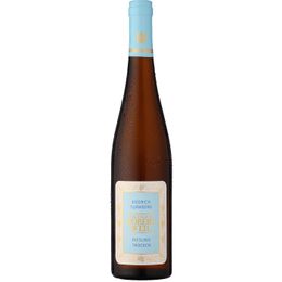 Robert Weil Kiedricher Turmberg Riesling Trocken