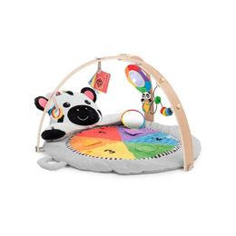 Baby Einstein Plush Gym Zen's Activity Milestones