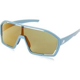 Alpina Bonfire Q-Lite Sportbrille smoke-blue matt/mirror gold one size