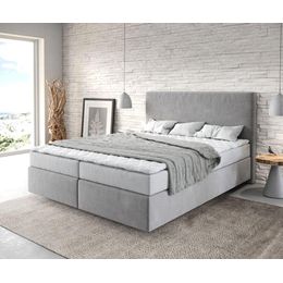 DeLife Boxspringbett Dream-Well