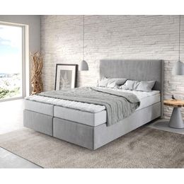 DeLife Boxspringbett Dream-Well