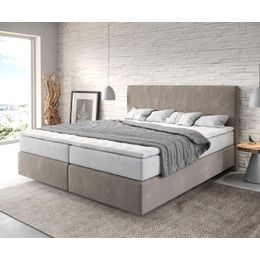 DeLife Boxspringbett Dream-Well