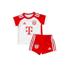 adidas originals Trainingsanzug FC Bayern (1-tlg)