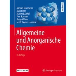Allgemeine und Anorganische Chemie - Michael Binnewies, Maik Finze, Manfred Jäckel, Peer Schmidt, Helge Willner, Geoff Rayner-Canham, Gebunden
