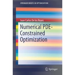 Springer International Publishing Numerical PDE-Constrained Optimization - Juan Carlos de Los Reyes, Kartoniert (TB)
