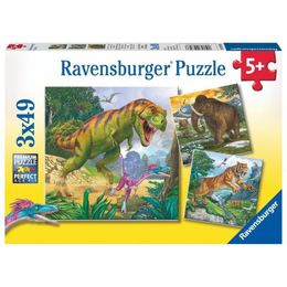 RAVENSBURGER VERLAG Puzzle HERRSCHER DER URZEIT 3x49-teilig