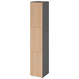 Hammerbacher Schließfachschrank grafit, eiche V264L3/G/E/ZS, 3 Schließfächer 40,0 x 42,0 x 215,6 cm