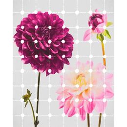 Komar Vliestapete "Flowers & Dots" Tapeten Gr. B/L: 200 m x 250 m, Rollen: 1 St., bunt Blumentapeten