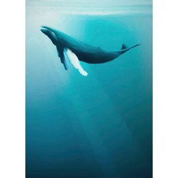 Komar Vliestapete "Artsy Humpback Whale" Tapeten Gr. B/L: 200 m x 280 m, Rollen: 1 St., blau (blau, weiß) Vliestapeten