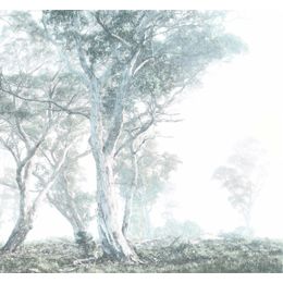 Komar Vliestapete "Magic Trees" Tapeten Gr. B/L: 300 m x 280 m, Rollen: 1 St., weiß (weiß, blau) Vliestapeten