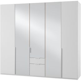 Kleiderschrank wimex "New York" Schränke Gr. B/H/T: 225 cm x 208 cm x 58 cm, 5 St., weiß (weiß, spiegel) Kleiderschränke mit Spiegeltür
