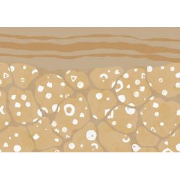 Komar Vliestapete "Subsoil" Tapeten Gr. B/L: 400 m x 280 m, Rollen: 1 St., braun (braun, weiß) Steintapeten