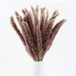 Getrocknete Pampasgras-Federn, 30 Stück, 43,2 cm hoch, natürliche Phragmites Communis, künstlicher Schilf-Blumenstiel, Bündel für