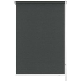 Gardinia - Seitenzug-Rollo, uni grau, lichtdurchlässig Größe ca. 52x180 cm