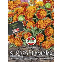Sperli - Studentenblumen Tagetes Honeycomb - Blumensamen