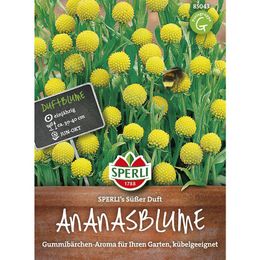 Ananasblume ´s Süßer Duft - Blumensamen - Sperli