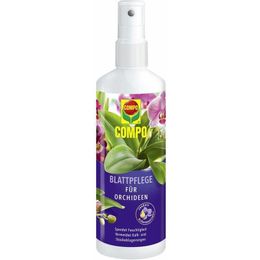 Compo Blattpflege für Orchideen 250 ml Pumpsprayflasche