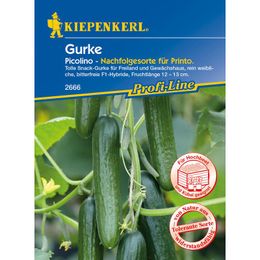 Gurken Picolino - Gemüsesamen - Kiepenkerl